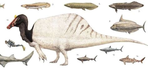 스피노사우루스 복원도 변화 Battlepage