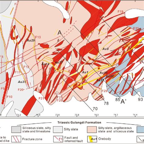Schematic Representation Of Ore Fluid Source Models For Orogenic Gold