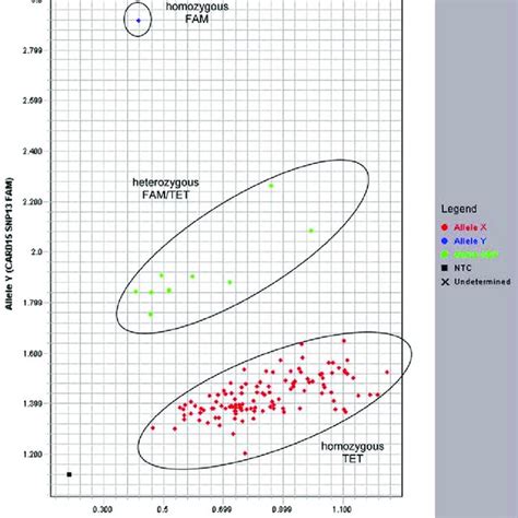 Typical Fluorescence Plot Snp13 The Red Points Homogenous Tet