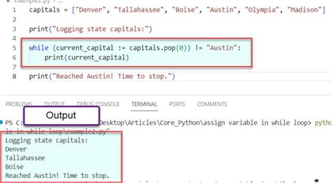 How To Use Python While With Assignment 4 Examples