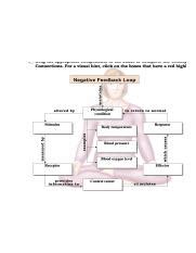 Negative Feedback Loop Png Connections For A Visual Hint Click On The Boxes That Have A Red