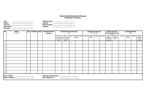 Pregnancy Tracking Form Year Birthing