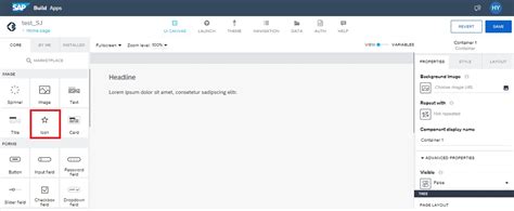 Sap Abap Central Radio Buttons In Sap Build Apps
