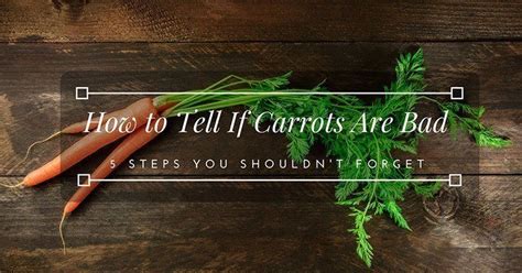How To Tell If Carrots Are Bad A Guide To Spotting Spoilage