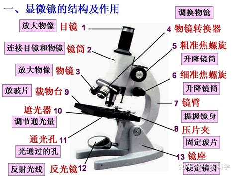 快开学了，思维导图帮你掌握科学重要知识点《细胞与显微镜》 知乎