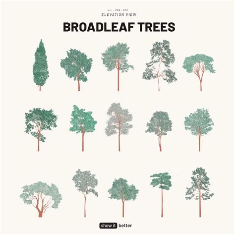 Broadleaf Trees Elevation Pack Artofit