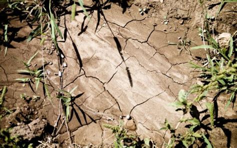 this is how developing countries can adapt better to droughts