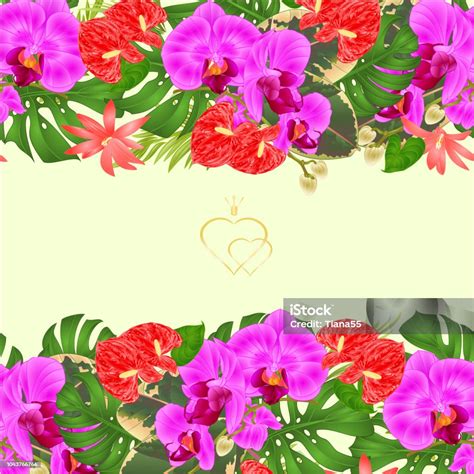열 대 꽃 꽃 꽃이 보라색 난초 팜 Philodendron 무화과나무와 꽃 빈티지 벡터 일러스트 편집 가능한 꽃 테두리 원활한 수평 배경 꽃다발 0명에 대한 스톡 벡터 아트