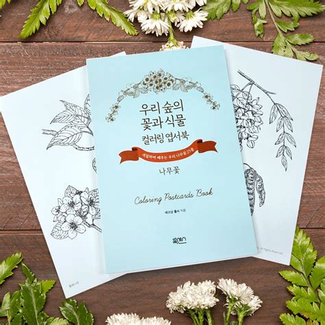 컬러링 엽서북 나무꽃