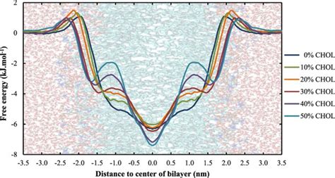 Hampering Effect Of Cholesterol On The Permeation Of Reactive Oxygen Species Through