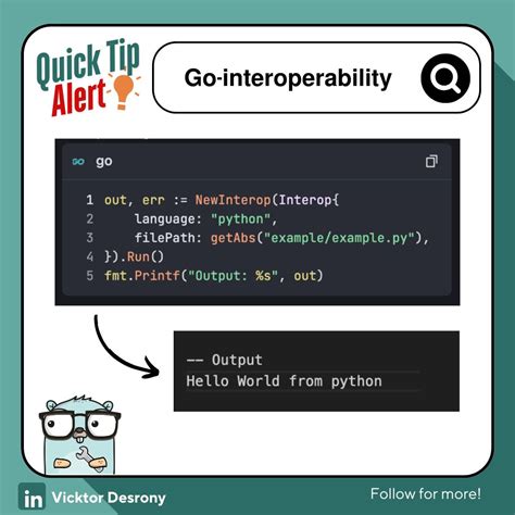 go golang softwareengineering opensource coding gophers vicktor