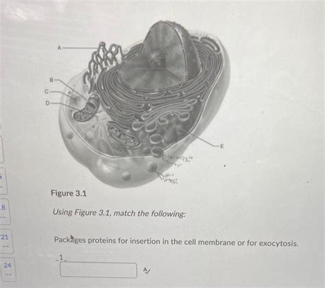 solved using figure 3 1 match the following packêges