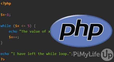 How To Use The Php While Loop Pi My Life Up