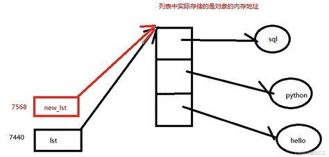 Python组合数据类型组合python代码 Csdn博客