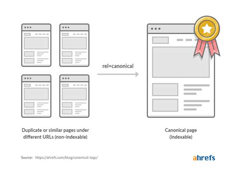 Canonical Tags A Simple Guide For Beginners