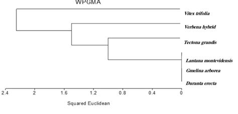 Dendrogram Represented The Similarity According To The Morphological
