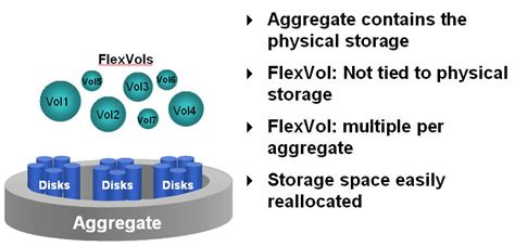 storage flexvols flexible data management
