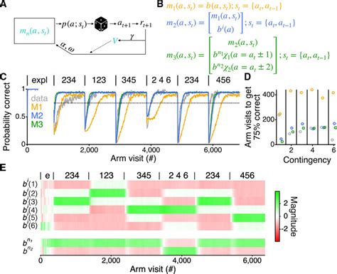 RL Model With Working Memory And Dynamic Preferences Can Learn As Download Scientific Diagram