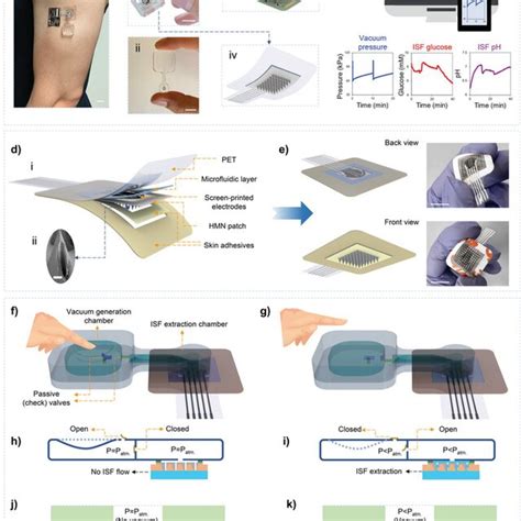 Illustration Of The Hmn‐based Wearable Device For On‐demand Extraction