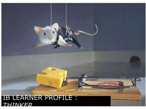 Ib Learner Profile Ppt