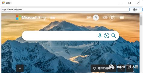 如何在winforms 应用中使用 Webview2 董川民