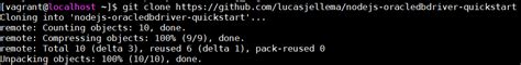 Fastest Creation Of A Lean Virtualbox Vm Image With Oracle Database 11gr2 Xe The Nodejs 7x