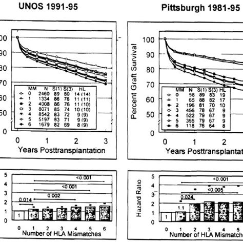 Pdf Hla And Cross Reactive Antigen Group Creg Matching For Cadaver