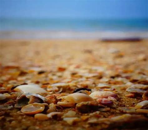 Irp계좌 간단한 개설 방법 바이더아룬