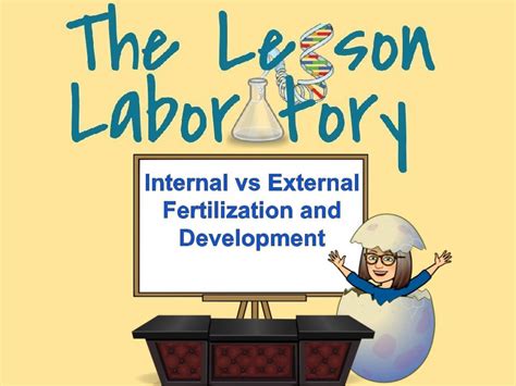 Internal Vs External Fertilization And Development Classful