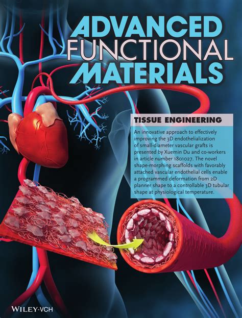 Tissue Engineering Programmed Shape‐morphing Scaffolds Enabling Facile