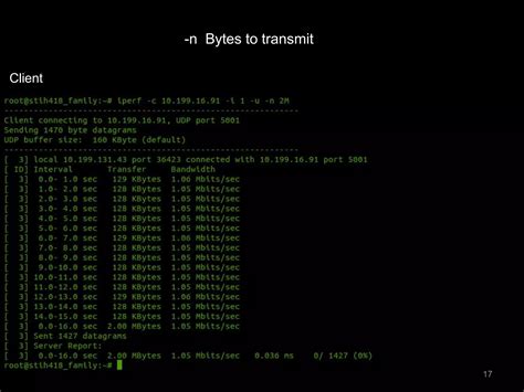 Network Performance Measurement Using Iperf PPTX Computer Networking Computing