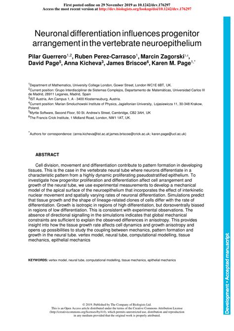 Pdf Neuronal Differentiation Influences Progenitor Arrangement In The Vertebrate Neuroepithelium