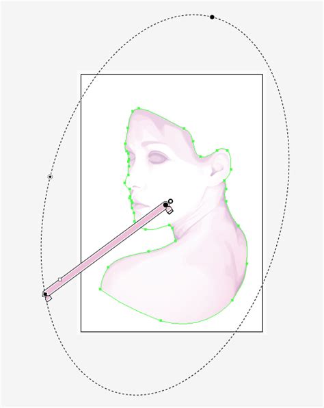 Create A Monochrome Portrait In Illustrator Envato Tuts