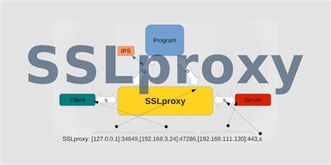 What Is Ssl Proxy And How Does It Protect Your Online Privacy Find Out