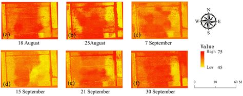 Predicted Spad Values Using The Random Forest Rf Model At Different Download Scientific