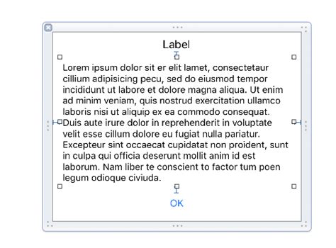Ios Custom View From Xib Added To Controller Via Interface Builder