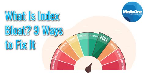 What Is Index Bloat 9 Ways To Fix It Mediaone