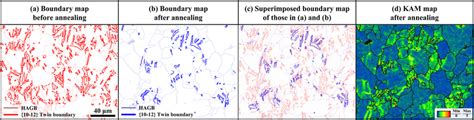 Quasi In Situ Ebsd Results Showing Twin Boundary Variation During Download Scientific Diagram