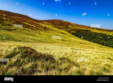 Grassy Hills On Late Summer Day Simple Landscape Background Stock
