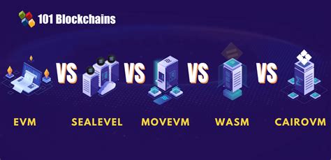 Blockchain Execution Environments Comparison 101 Blockchains