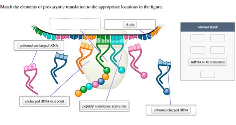 Solved I Cant Seem To Get This Answer Correct What Am I
