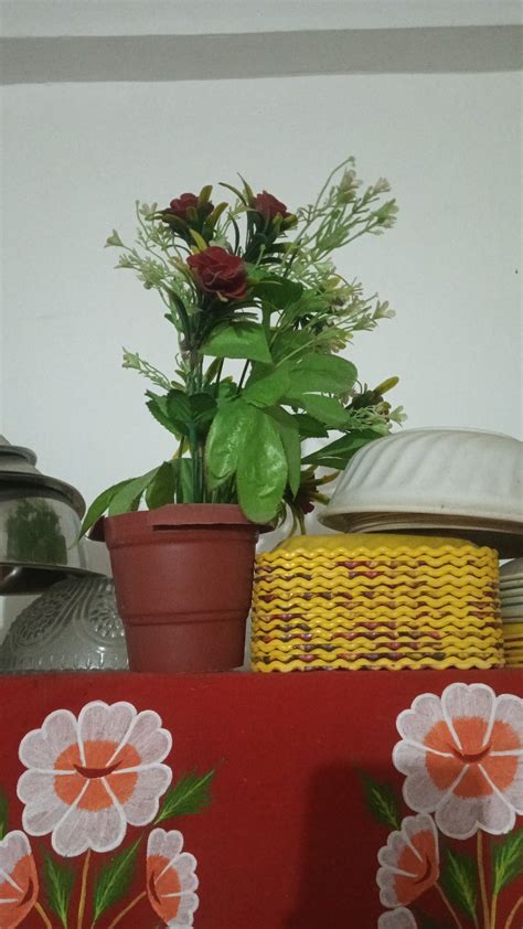 Breaking News ফরিদপুরে ২৪ ঘণ্টায় ১৪ জনের মৃত্যু শনাক্তের হার ৪৫ ৮১ শতাংশ নিজস্ব সংবাদদাতা