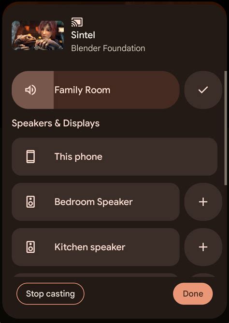 Output Switcher Cast Google For Developers