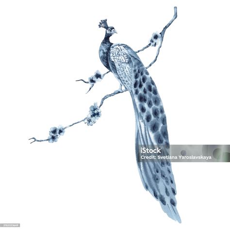 공작 새 꽃 나무 나뭇 가지 그림 벽지 블루 인디고 흑백 구성 손으로 그린 수채화 그림은 흰색 배경에 고립되어 있습니다 인쇄물 패턴 및 배경 화면을 위한 세련된 클립 아트