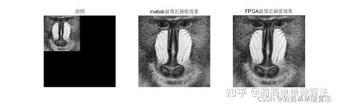 基于FPGA的图像最近邻插值算法verilog实现 包括tb测试文件和MATLAB辅助验证 知乎