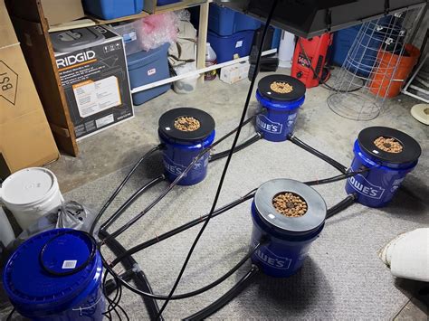 RDWC Vs Undercurrent Grasscity Forum The Worlds Largest Cannabis Weed Community