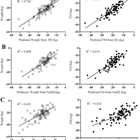 In Body Composition Physical Activity And Energy Expenditure Download Scientific Diagram