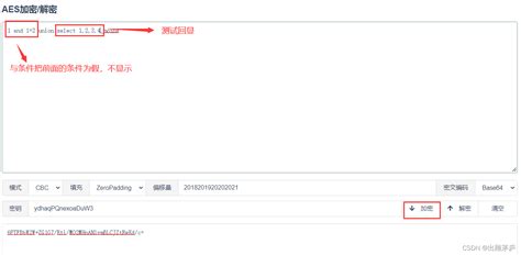 Ctf之墨者靶场sql注入参数加密墨者ctf Csdn博客