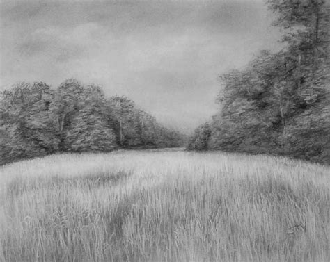 Grass Field Drawing At Explore Collection Of Grass