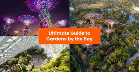 What Are 3 Of The Attractions At Gardens By The Bay In Singapore